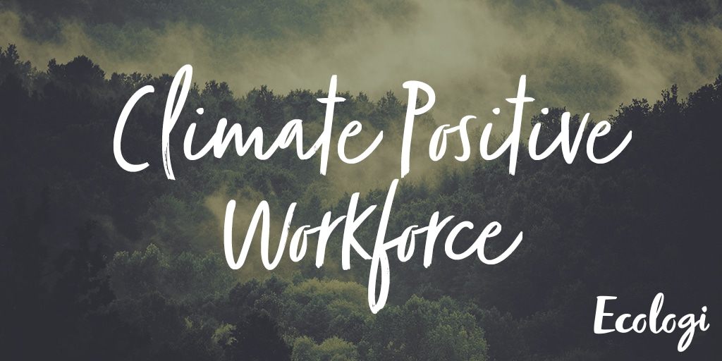 Portt & Co | Climate Positive - one year later